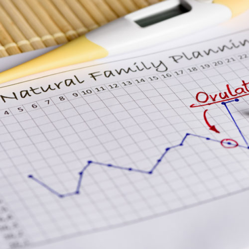 Understanding ovulation - My BabyManual