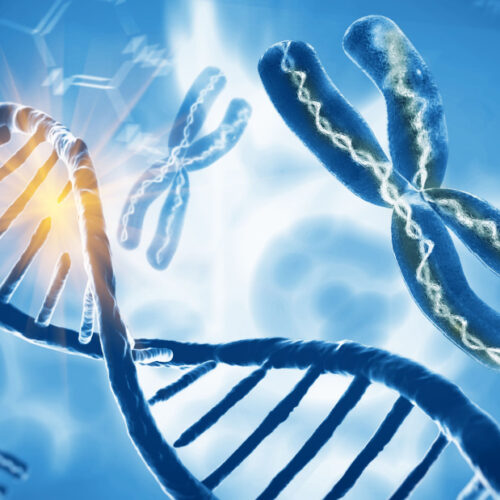 Types of genetic disorders | Monogenic, multifactorial & chromosomal